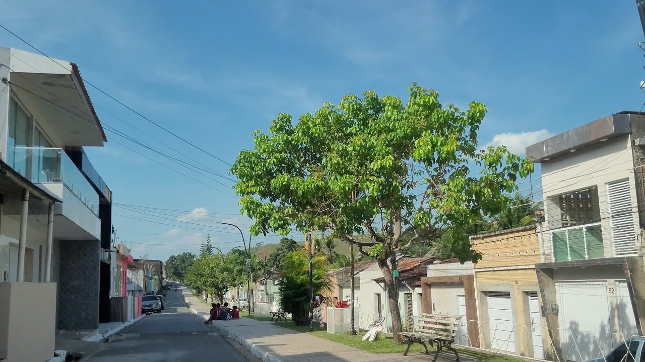 CIDADE DE XÉXEU NA MATA SUL DE PERNAMBUCO. - YouTube
