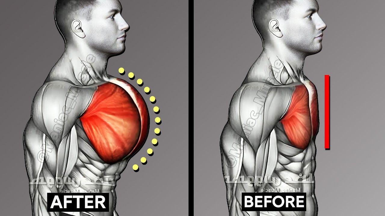 Best Sculpt Your Chest Exercises You Need to Try! 🔥 - YouTube