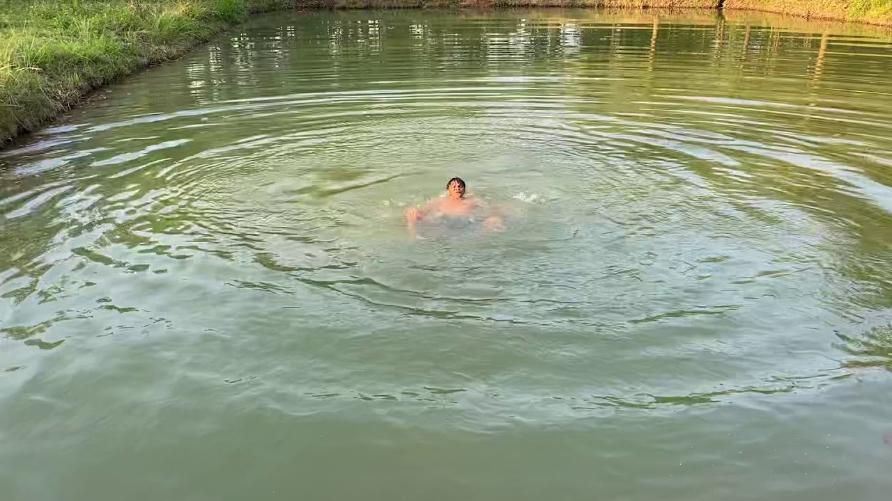 Nadando no tanque de peixe 🎣 - YouTube