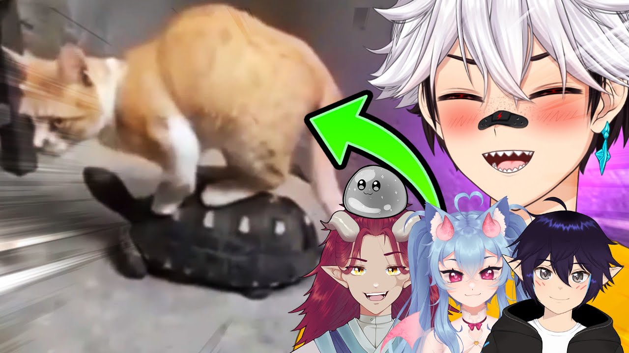 Os MELHORES Compilados de MEMES #27 com @LirouMage @AimerArts @ohwasuy ...