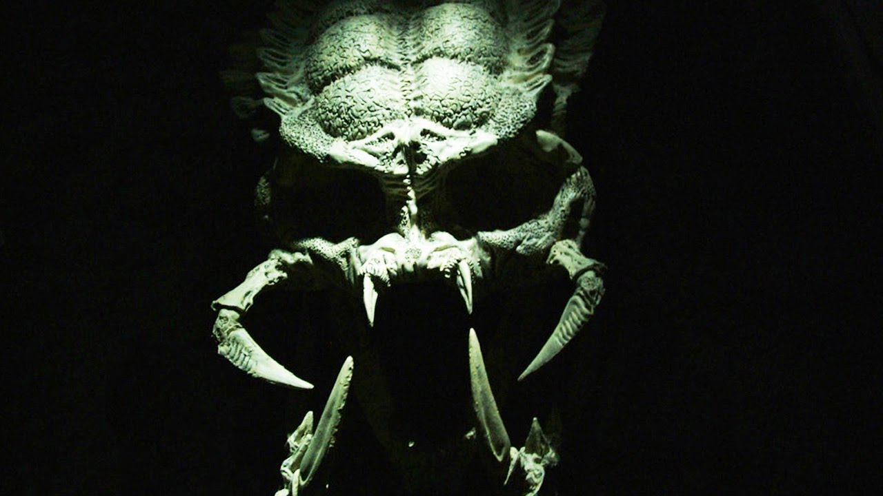 THE PREDATOR IS BACK - TIME TO HUNT - YouTube