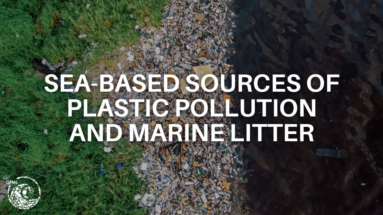 GPML Webinar - Sea-based Sources of Plastic Pollution and Marine Litter ...
