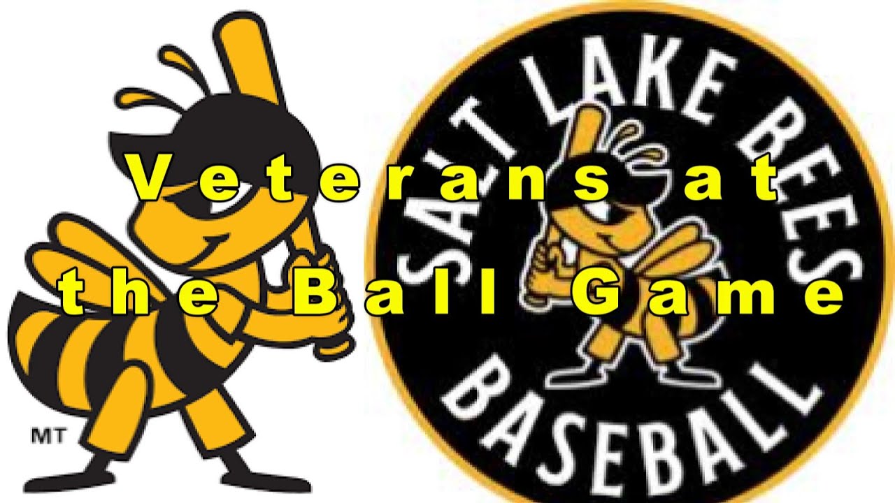 Veterans at the Bees Baseball Game - YouTube