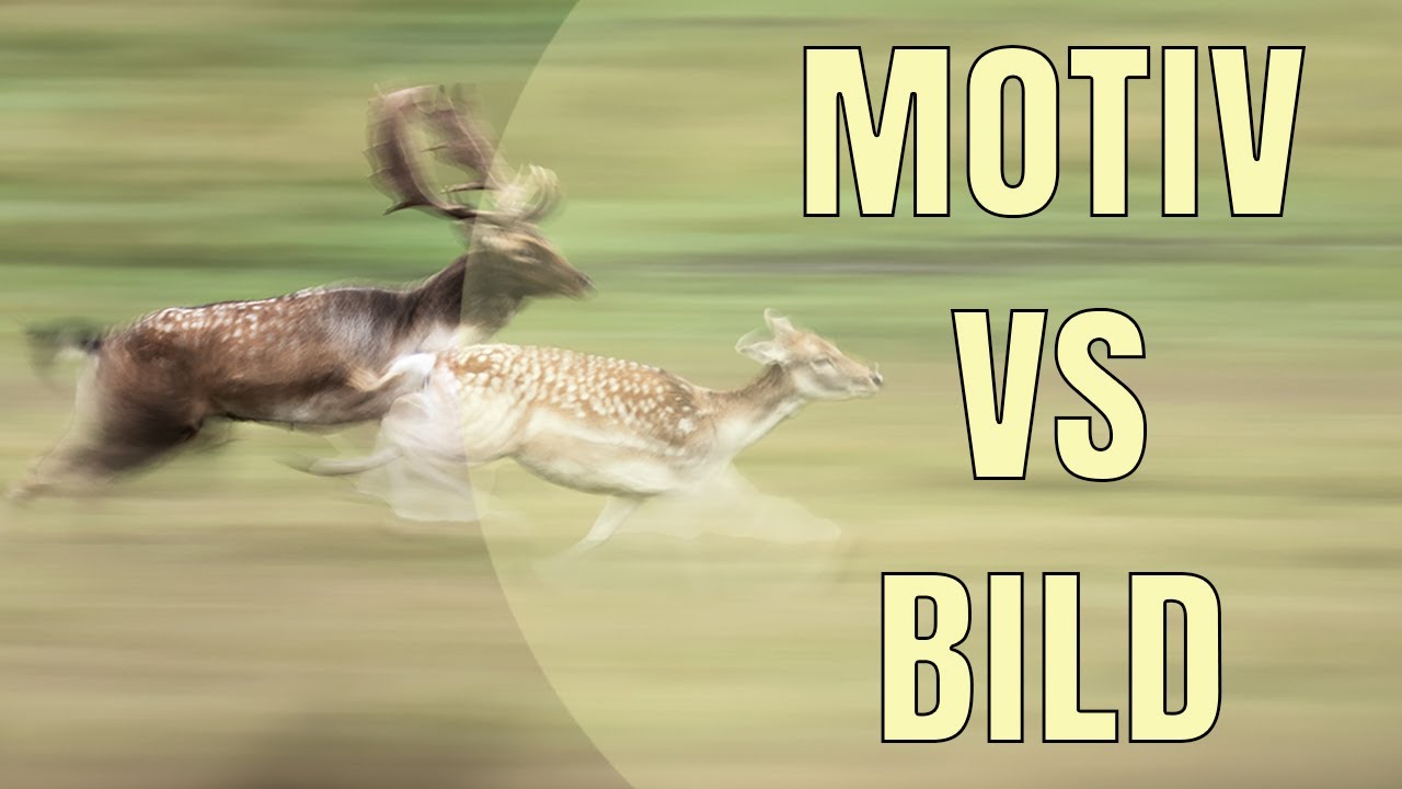 Vad är skillnaden mellan ett motiv & en bild? - YouTube