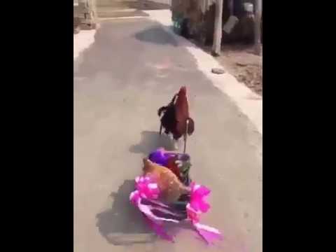 O gidenin cesmesi soldur soldur akiyor...😂