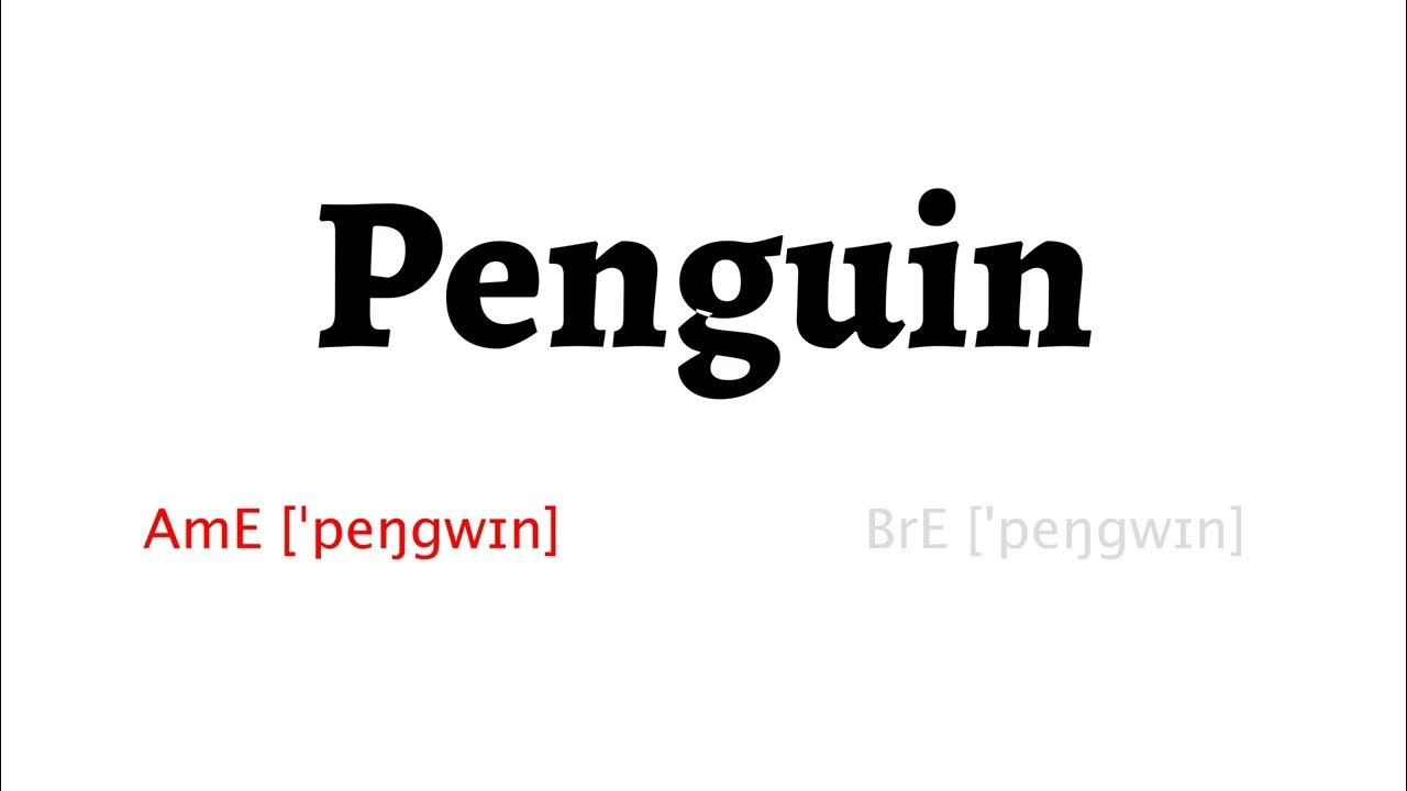 How to Pronounce Penguin in American English and British English - YouTube