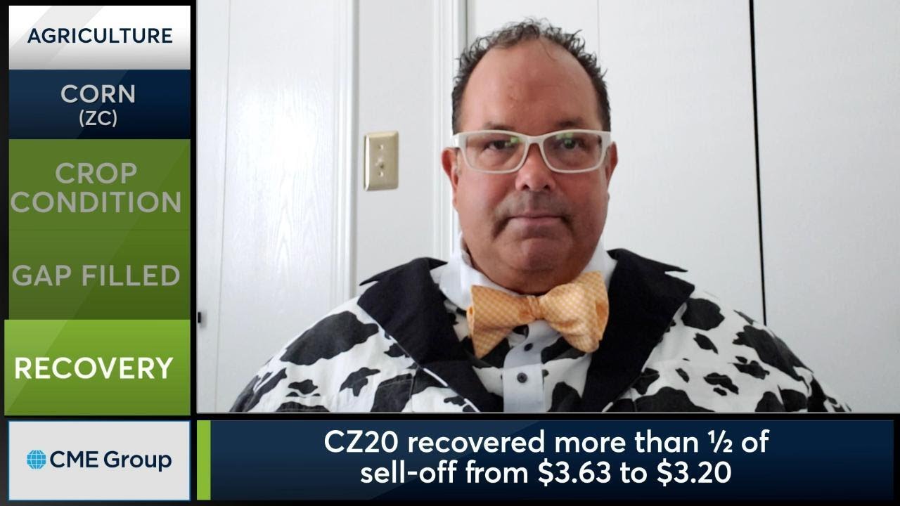 August 18 Grains Commentary: Scott Shellady - YouTube