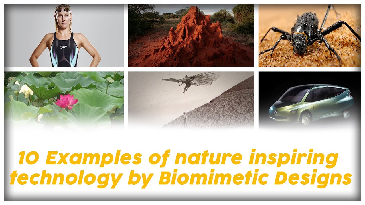Amazing Techonologies Inspired by Nature: Biomimicry Examples - YouTube