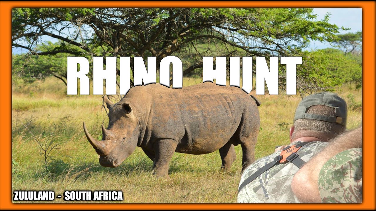 Rhino Hunt - Zululand KZN - YouTube