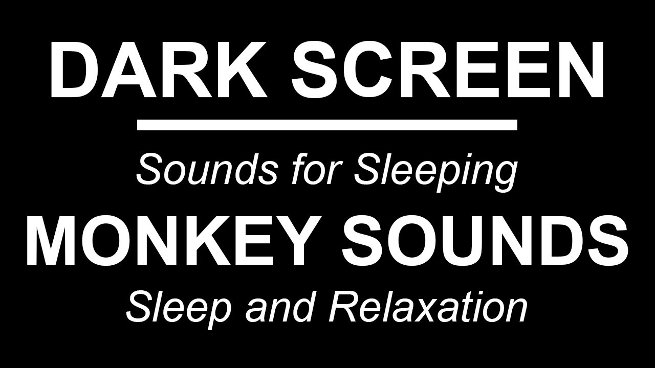 MONKEY SOUNDS | Sounds for Sleeping | BLACK SCREEN | Sleep and ...