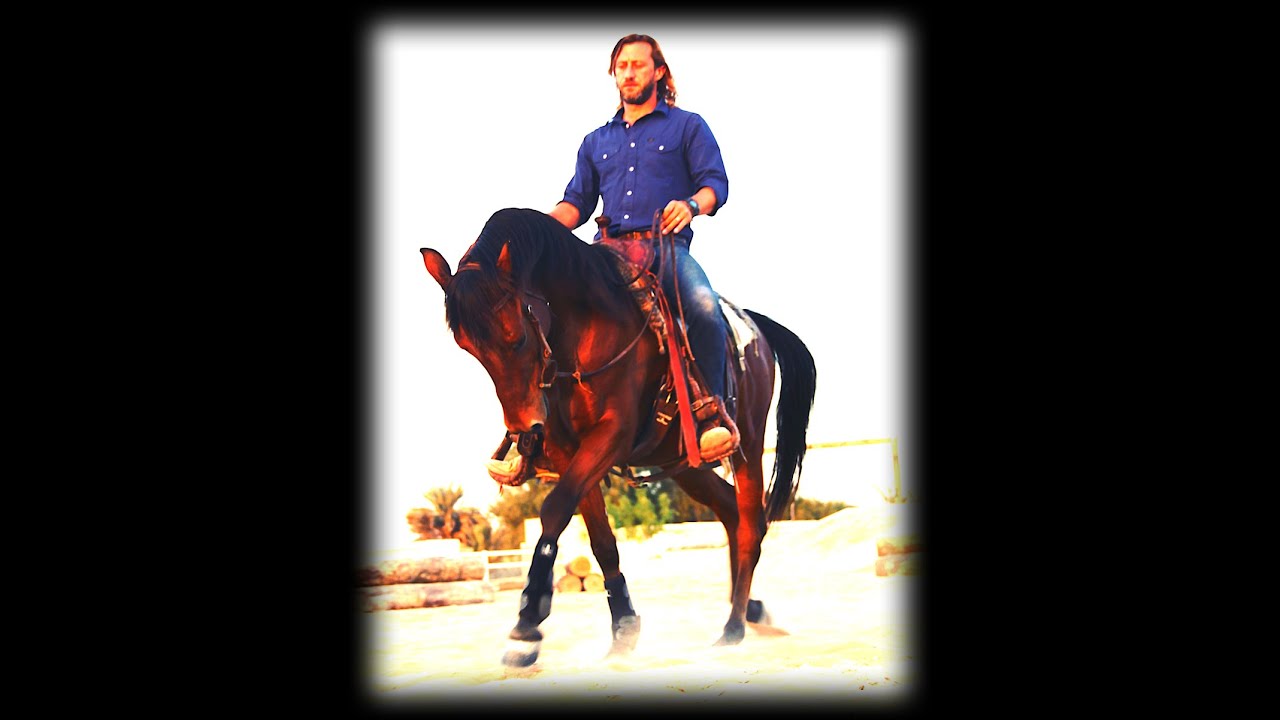 MUST WATCH - The $100,000 Demo - Breaking in - Colt Starting - YouTube