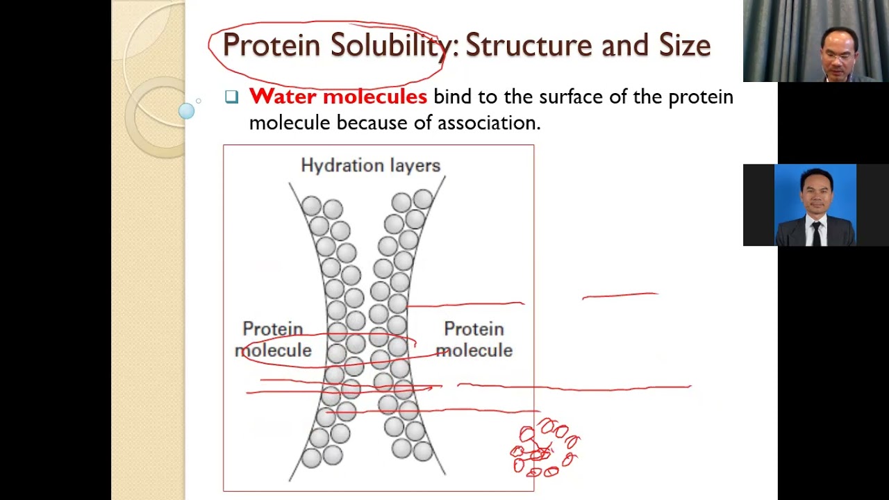 Downstream Processing-Precipitation-Part 1 - YouTube