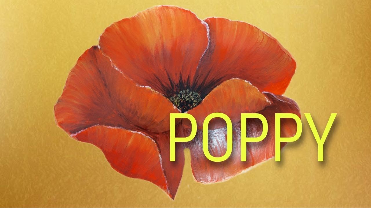 Draw a POPPY together - YouTube