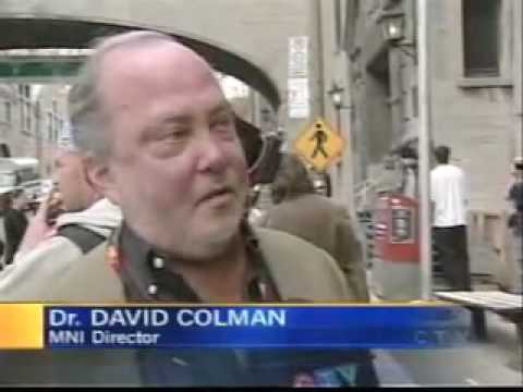 CTV News Sept 29 2008 - courtesy of CTV - YouTube