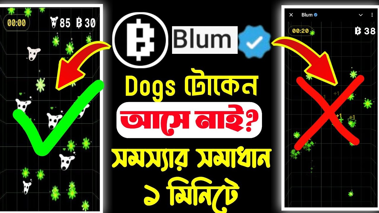 Blum & Dogs new update | Blum bp point | Blum dogs token not showing | Blum new update - YouTube