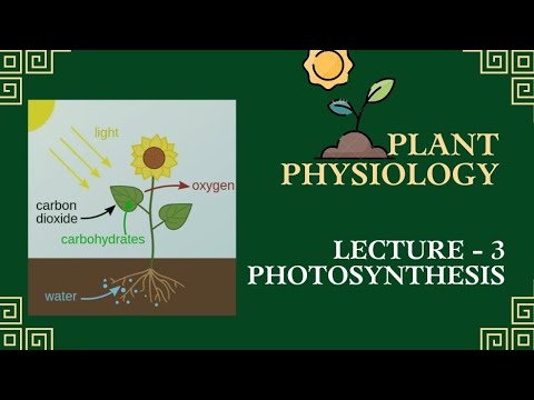 PLANT PHYSIOLOGY | Lecture - 3 Photosynthesis | Go Agro - YouTube