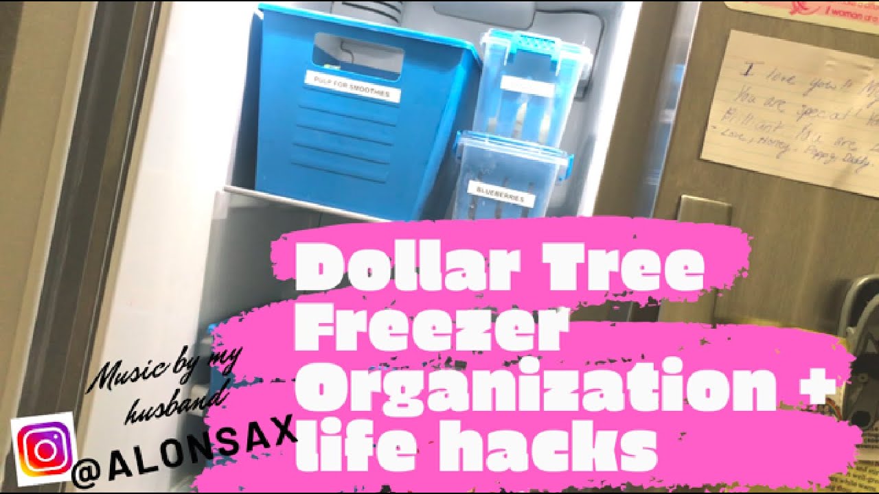 Dollar Tree Freezer Storage | LIFE HACKS | Cleaning Inspo’ - YouTube