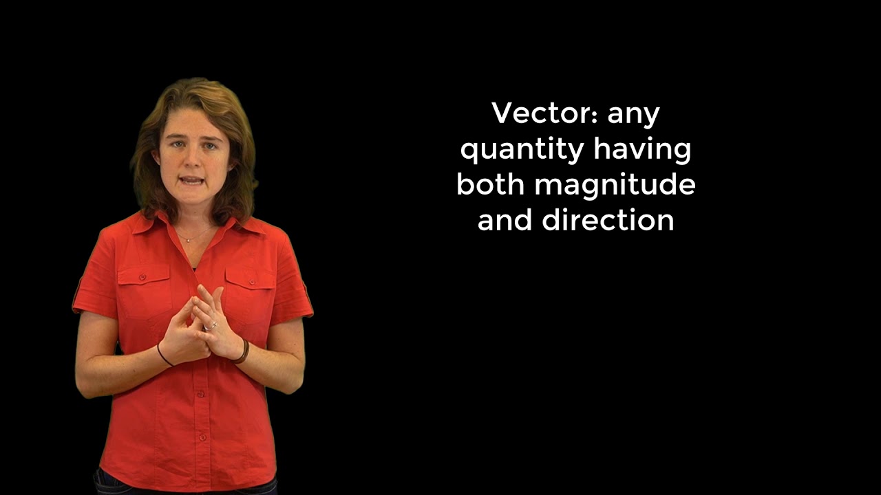 What Is a Vector? — Lesson 2 - YouTube