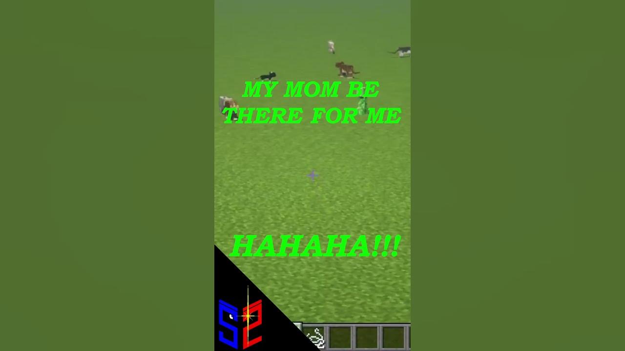 What Happen If s Mutant Creepers Saw A Cat In Minecraft Mods TRS2 what-happen-if-s-mutant-creepers-saw-a-cat-in-minecraft-mods-trs2