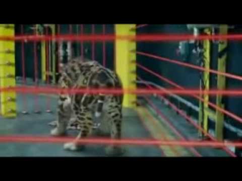 Primeval Creatures - Never Enough - YouTube Primeval Creatures - Never Enough - YouTube
