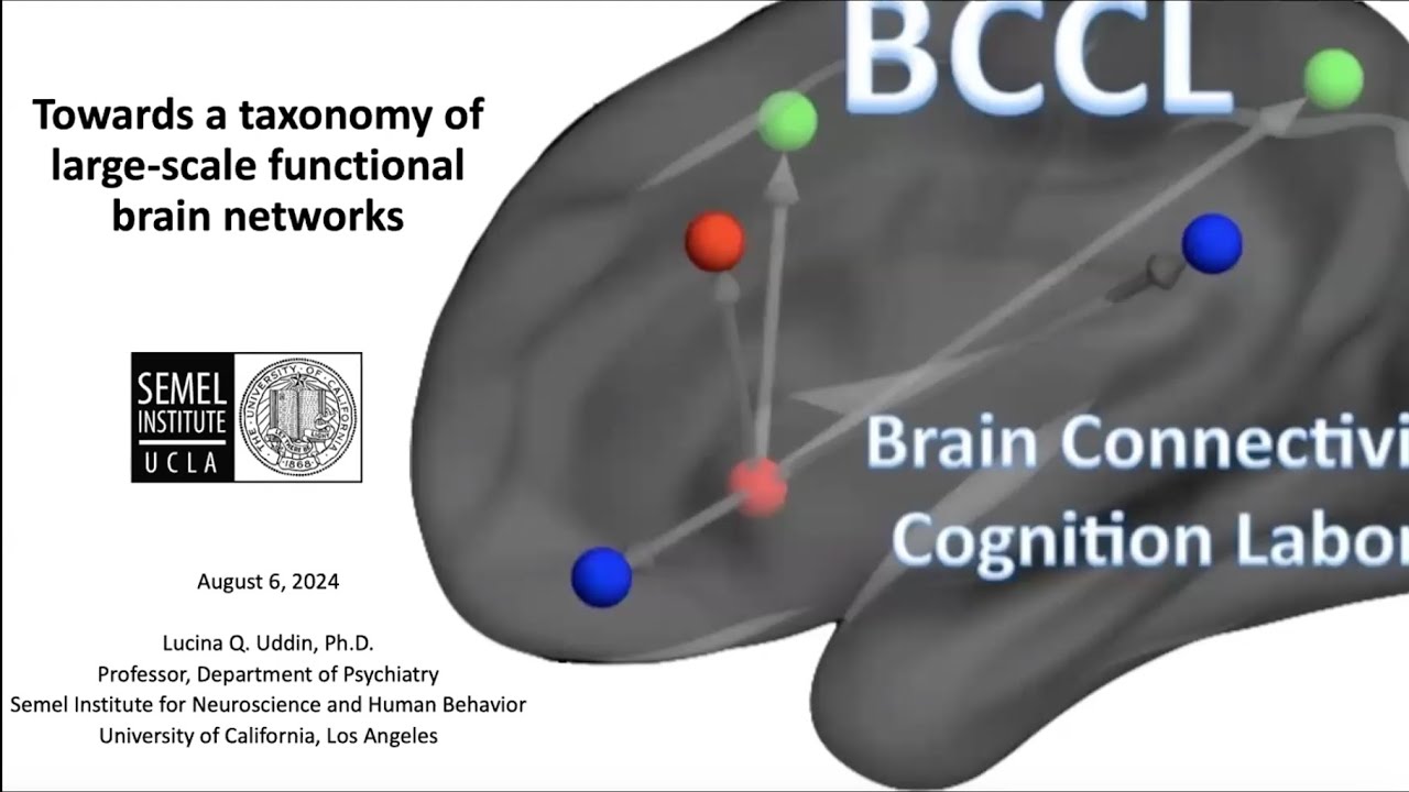 BrainMap: Towards a taxonomy of large-scale brain networks - YouTube