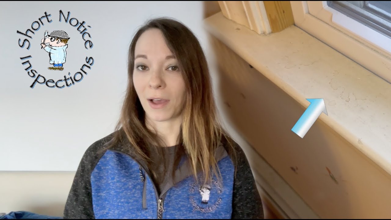 Aesthetic Issues vs. Defects | Part 3 - YouTube