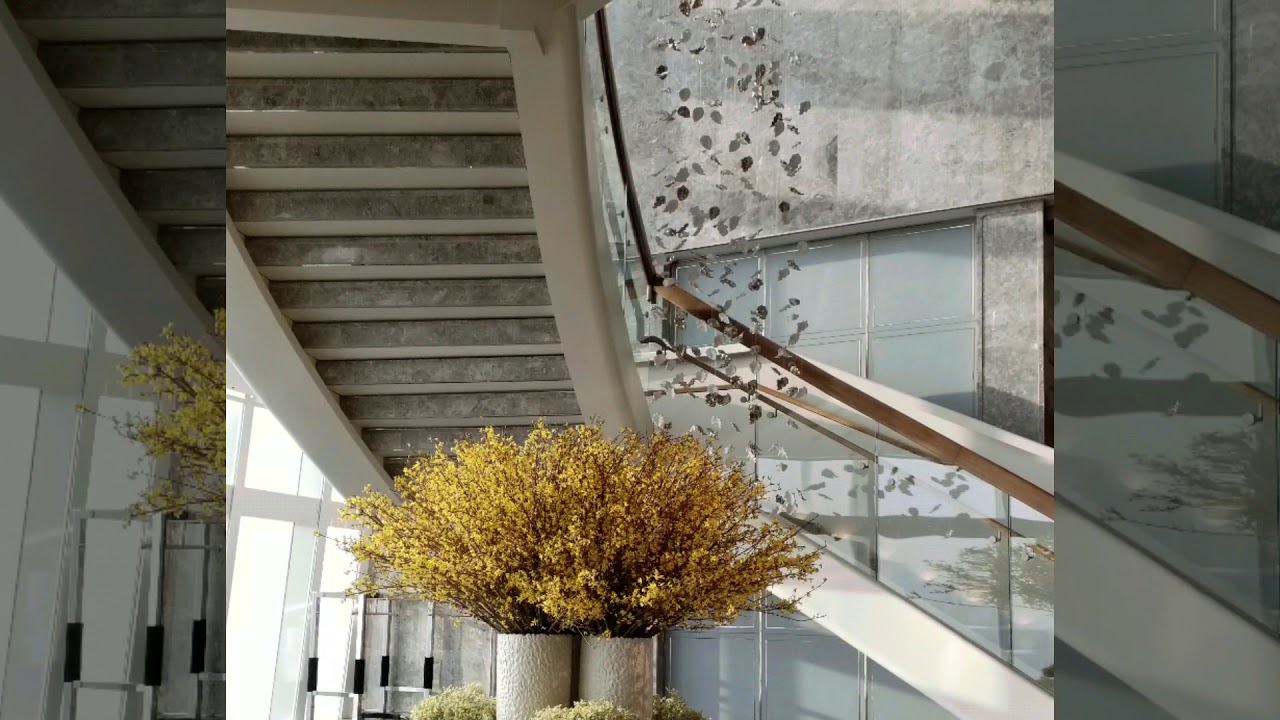 Mon arrivée à l'hôtel Signel de Séoul - YouTube