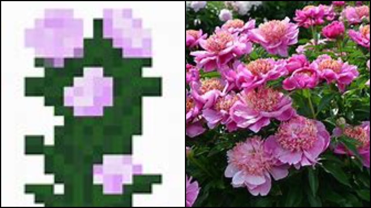 Minecraft Plants And Their Real Life Counterparts - YouTube