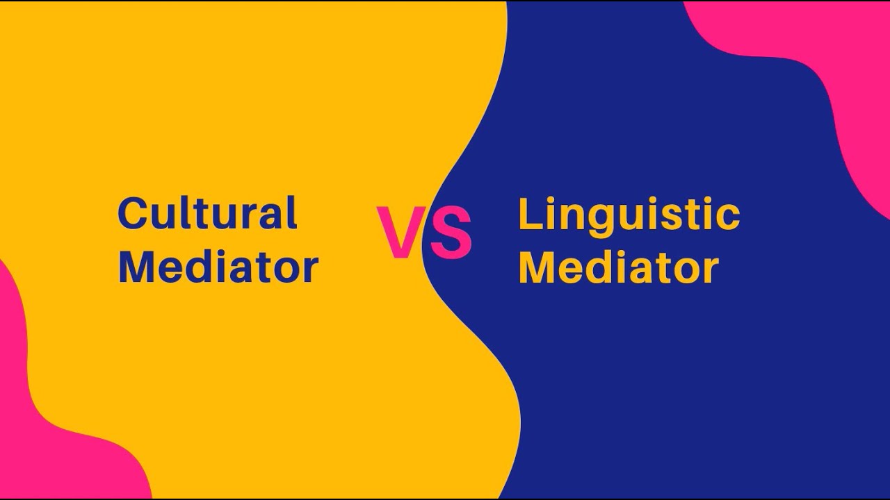 Vocational Guidance to Language Mediation Professions: Linguistic and ...