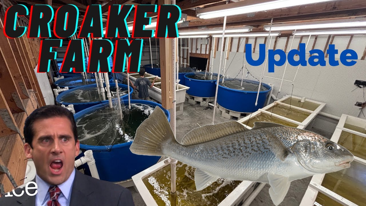 Croaker Farm Update - YouTube