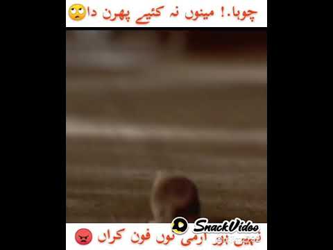 Funny Punjabi Sketch by Jaani | Punjabi Dubbing | Garfield the Cat