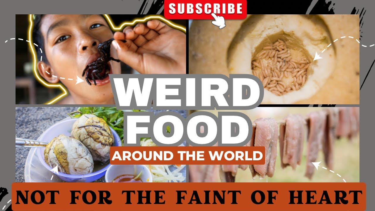 Shocking Culinary Delights: 5 Weirdest Foods from Around the World! You ...