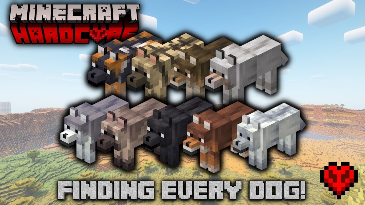 How I Found EVERY DOG in Minecraft 1.21 Hardcore! - YouTube