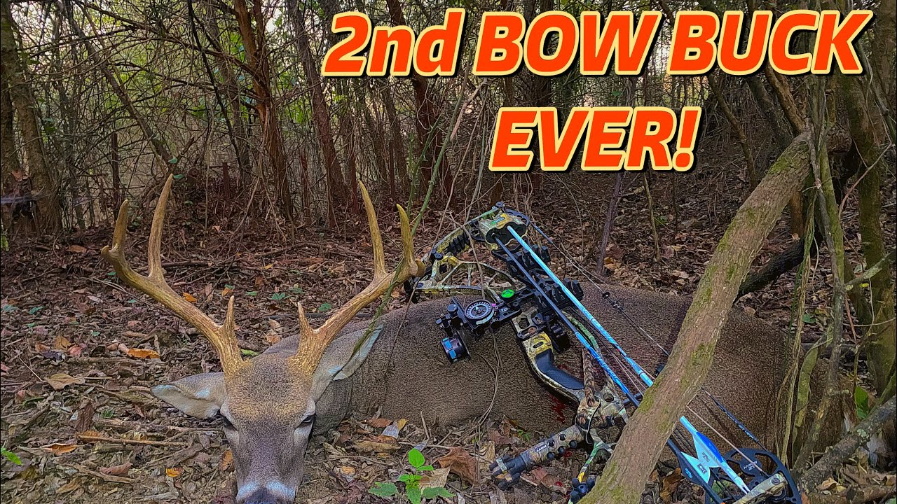 He Worked the SCRAPE! Private Land Bow Hunting in Tennessee. - YouTube