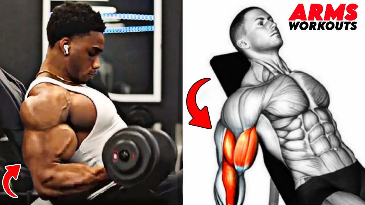 8 Arm Exercises That Make Your Biceps POP and Triceps EXPLODE!🔥 - YouTube