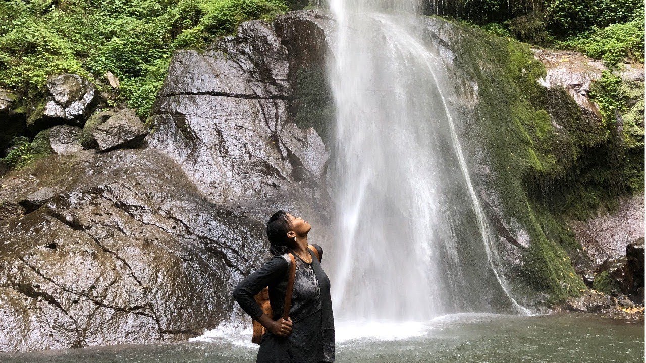 Most beautiful Forest in Arusha! Napuru Forest - YouTube