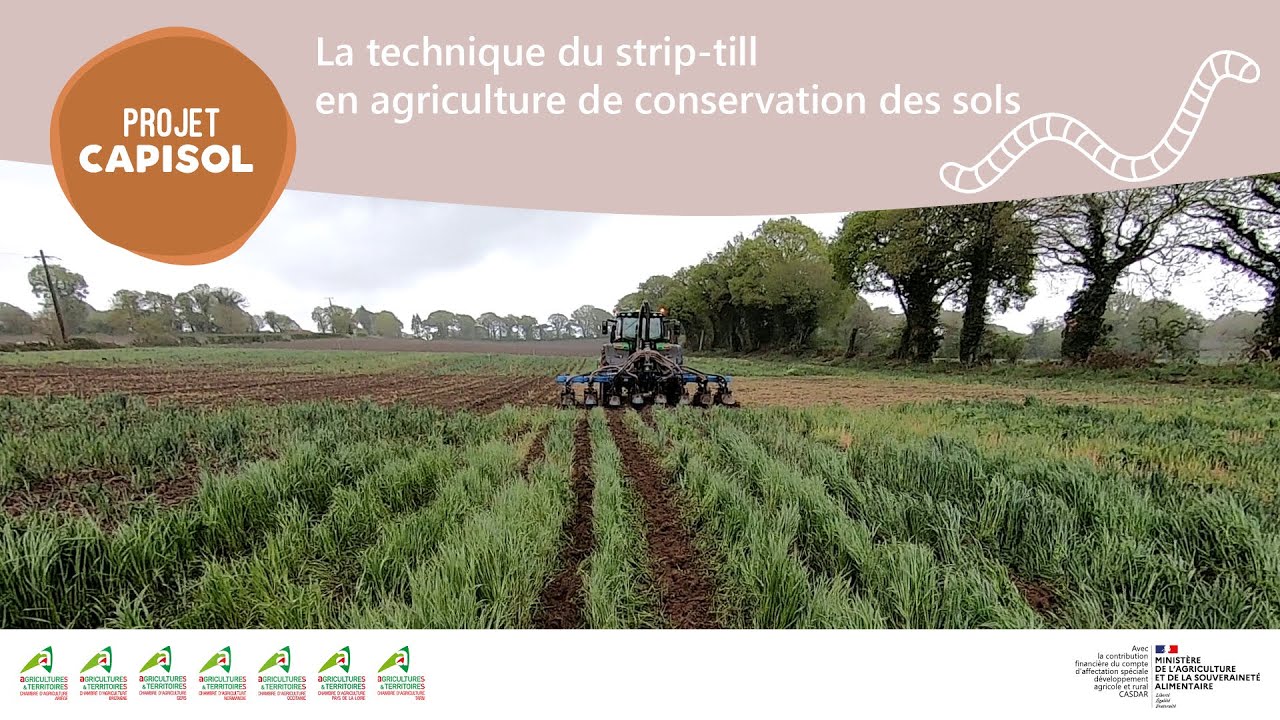 La technique du strip-till en agriculture de conservation des sols ...