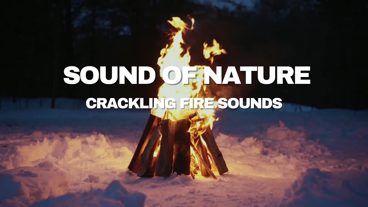 1 HOUR OF RELAXATION - Crackling Fire Sounds - YouTube
