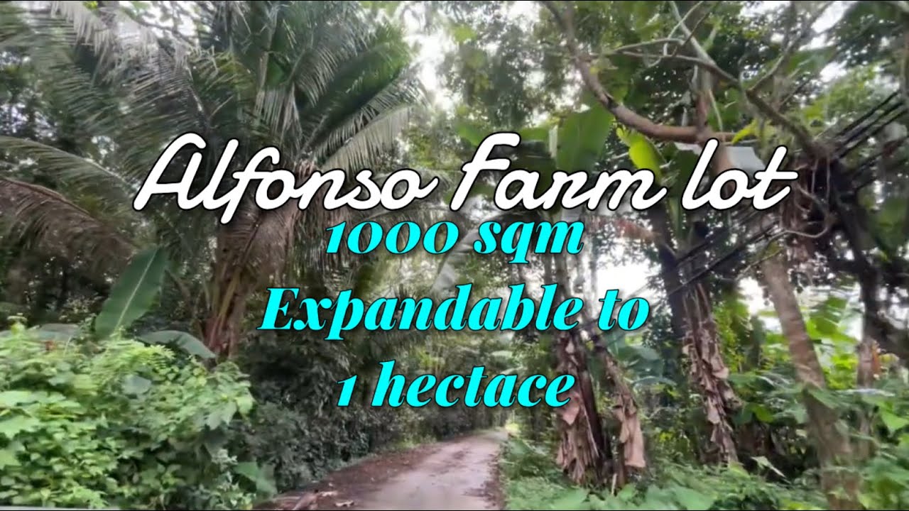 V292-23 Titled residential farm lot 1000 sqm expandable to 1 hectare ...