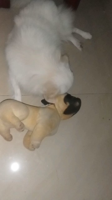 we r friends - YouTube