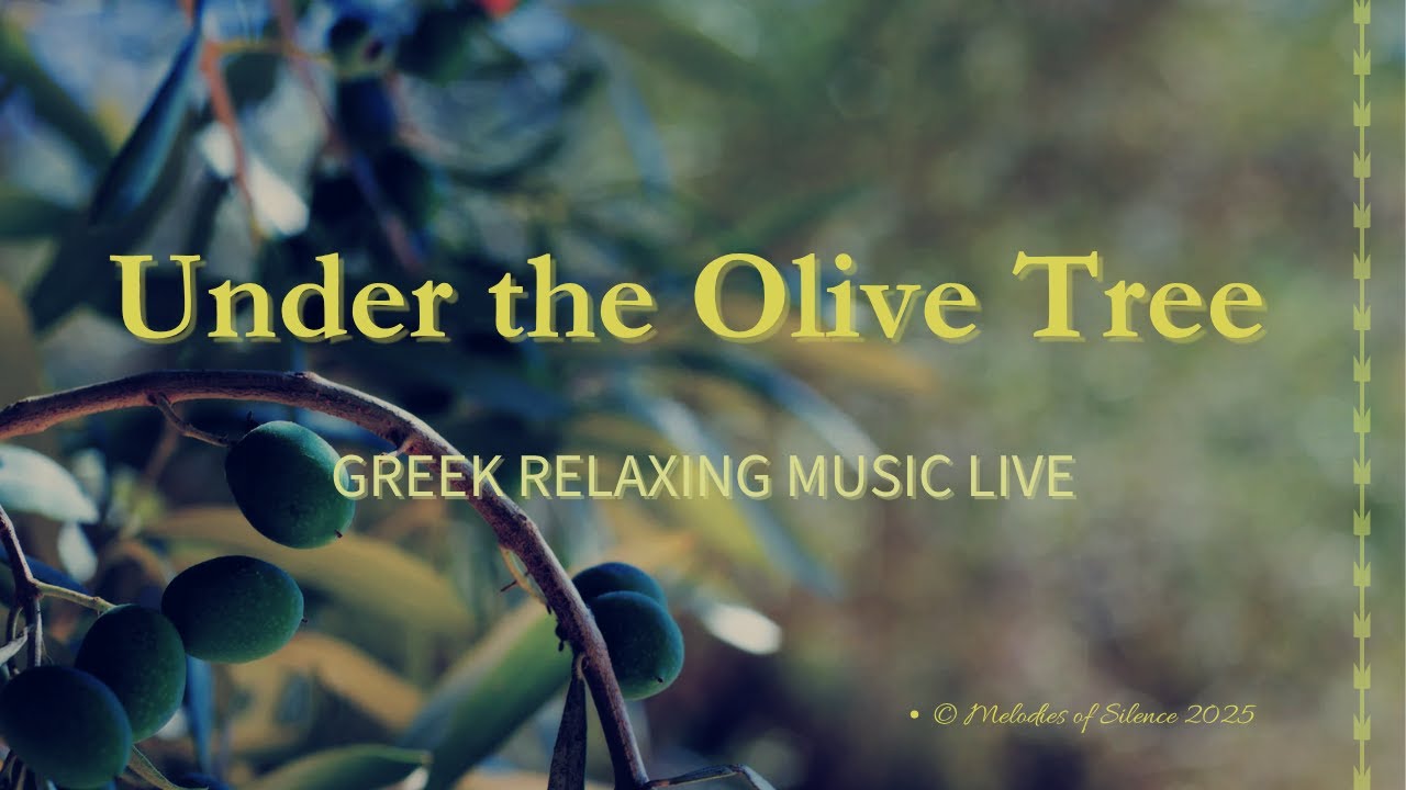 Live Now — Under the Olive Tree 🌿 | 24/7 Greek Relaxing Music for Sleep ...