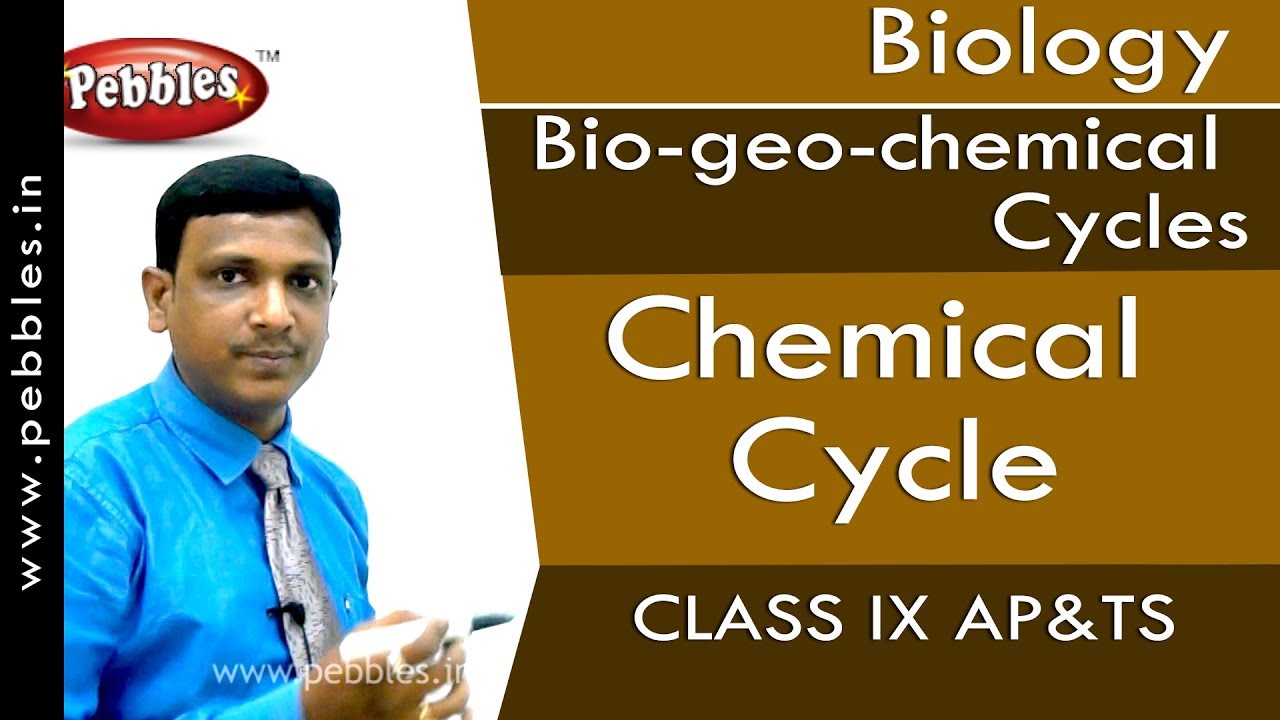 Chemical Cycle : Bio-geo-chemical Cycles | Biology | Class 9 | AP&TS ...