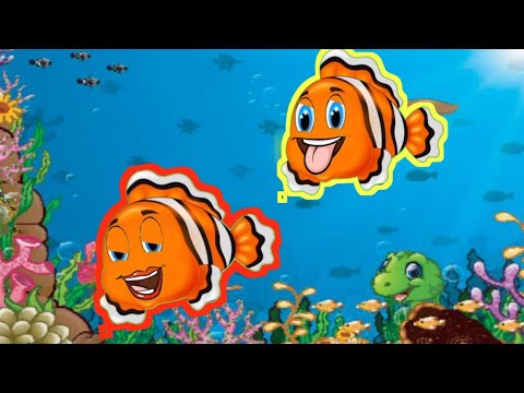 fish have three poses|fish talking#greenscreen #copyright free# ...