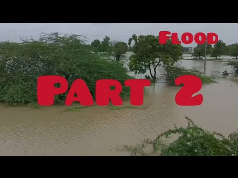 Part 2//In Flood//16505 Gimb Sbc Weekly Express// Dhrangdhra to ...