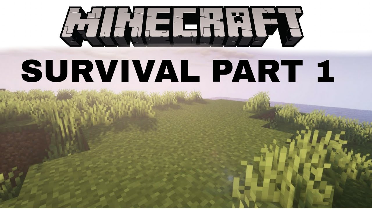 MINECRAFT SURVIVAL GAMEPLAY - YouTube