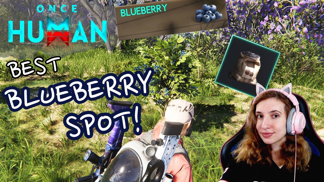 Best place to farm Blueberry in Once Human | Once Human #miss_rofl # ...