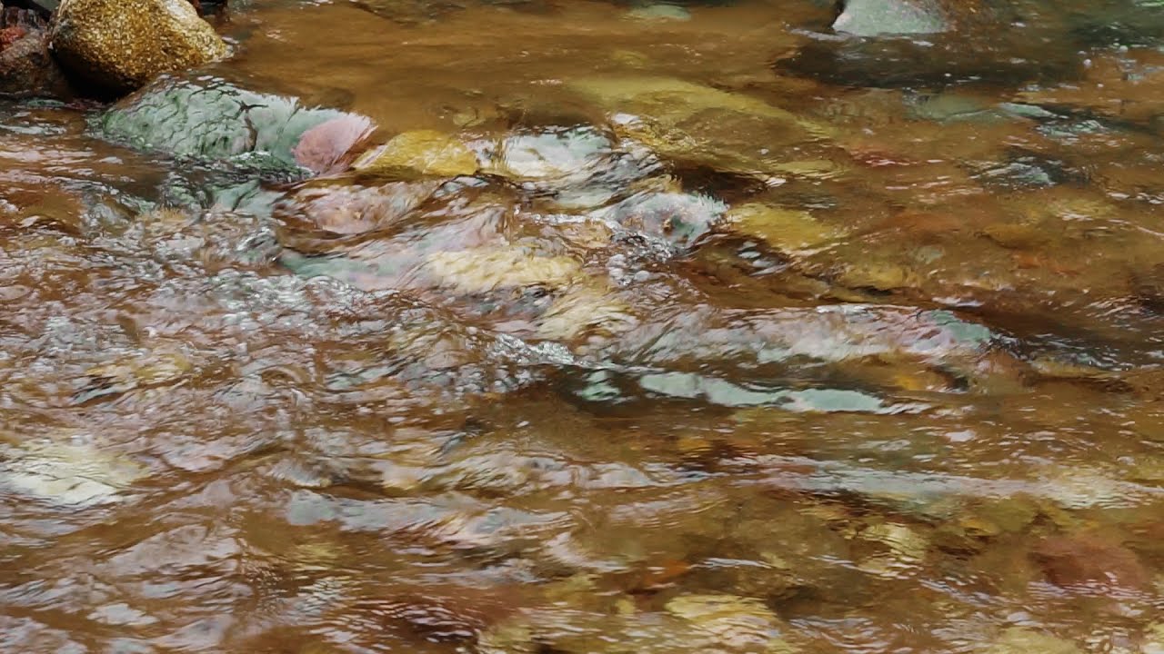 Gentle Water Sounds Flowing In The River | Relaxing, Sleeping, Studying ...