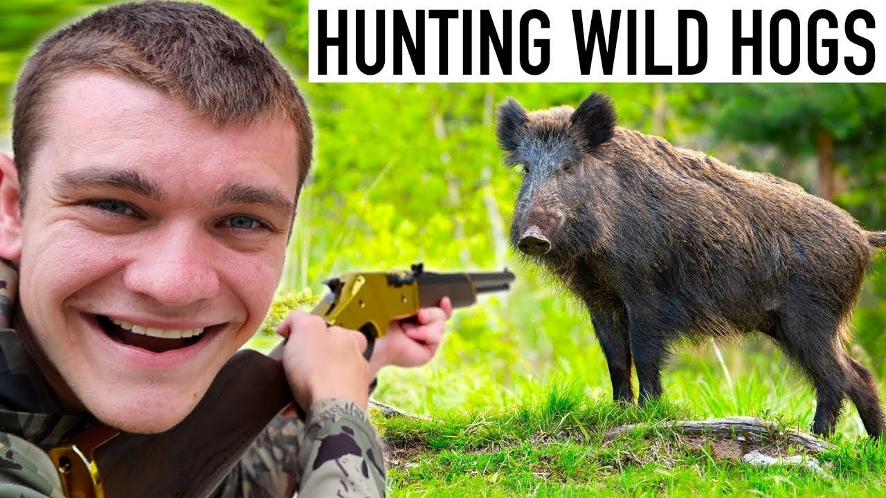 I Hunted FERAL WILD HOGS in Florida for the First Time! - YouTube