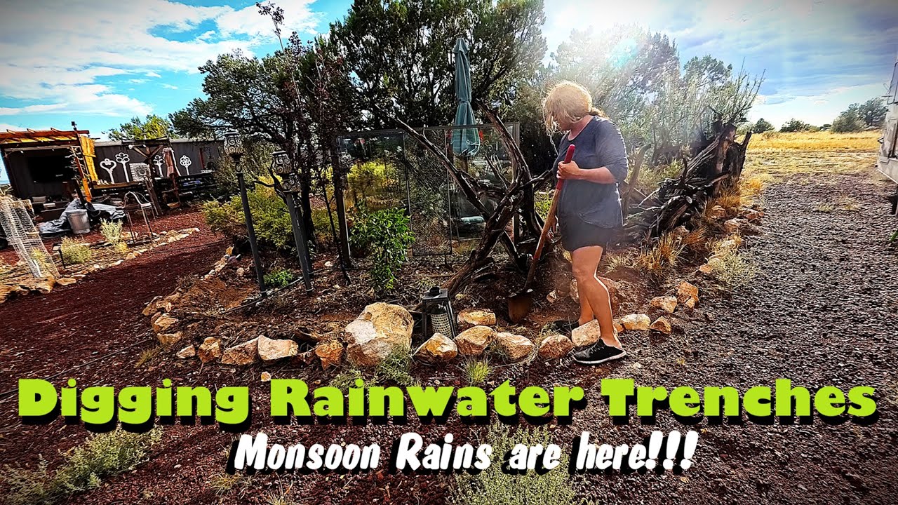 Monsoon Desert Rain Garden! Rainwater Harvesting, Water Catchment Ponds ...