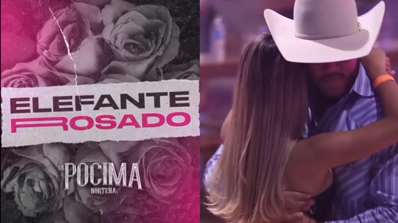 La Pocima Norteña Elefante Rosado Bailando Bonito Video Lyric 2022 Acordes Chordify
